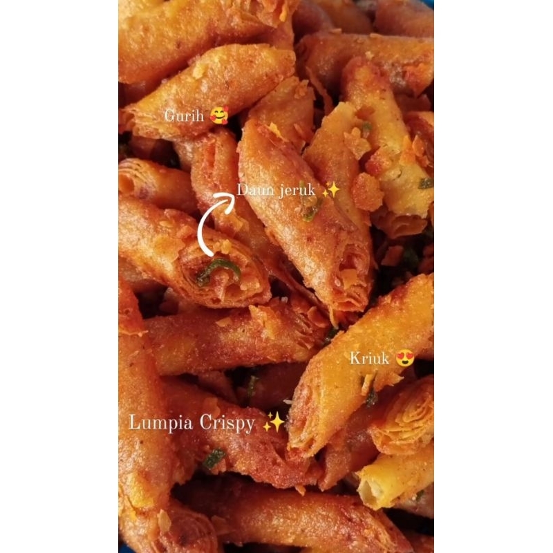 Jual Cemilan Kulit Lumpia Crispy (kemasan standing pouch) | Shopee ...