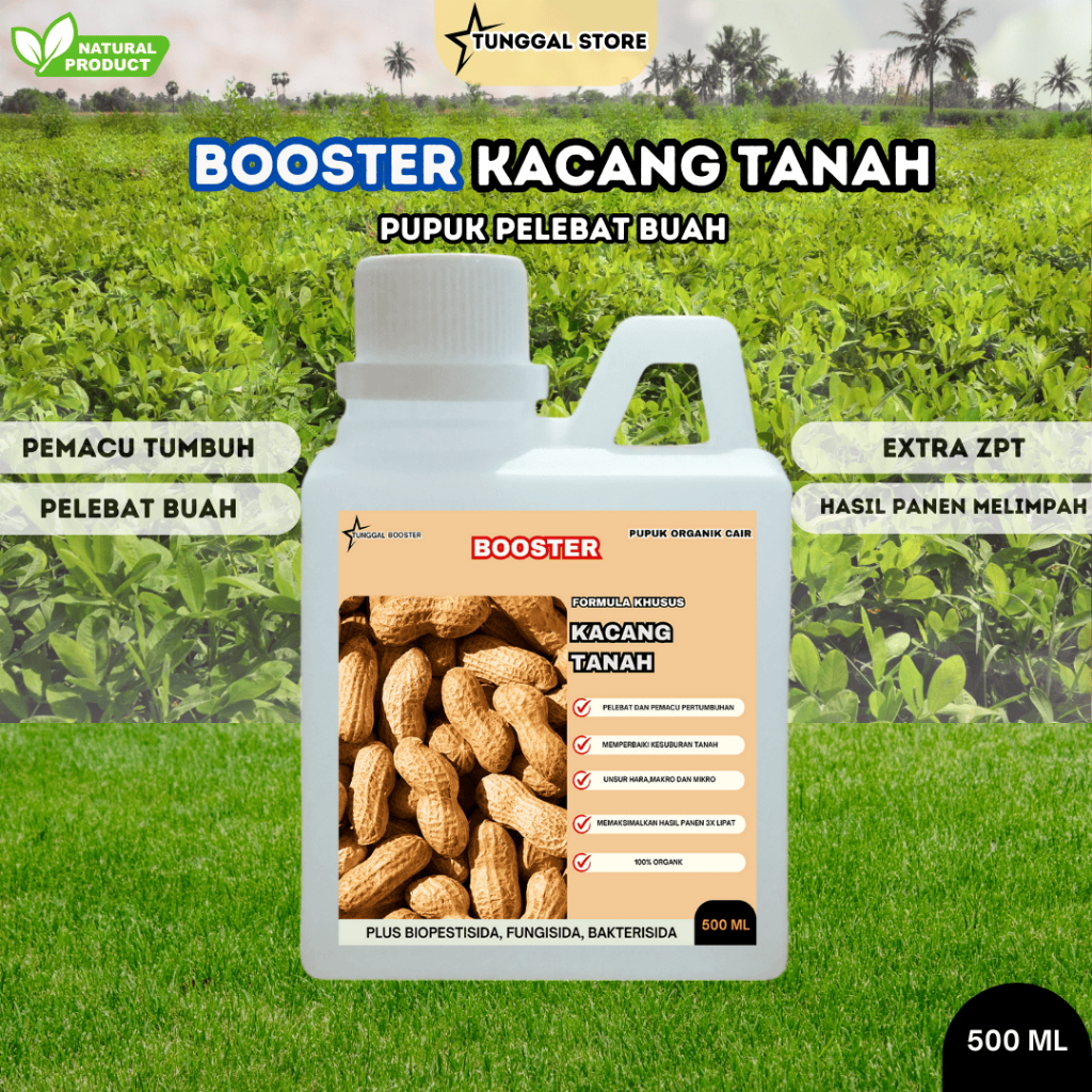Jual PUPUK BOOSTER CAIR TANAMAN KACANG TANAH, PELEBAT BUAH KACANG, PERANGSANG MASA PERTUMBUHAN ...
