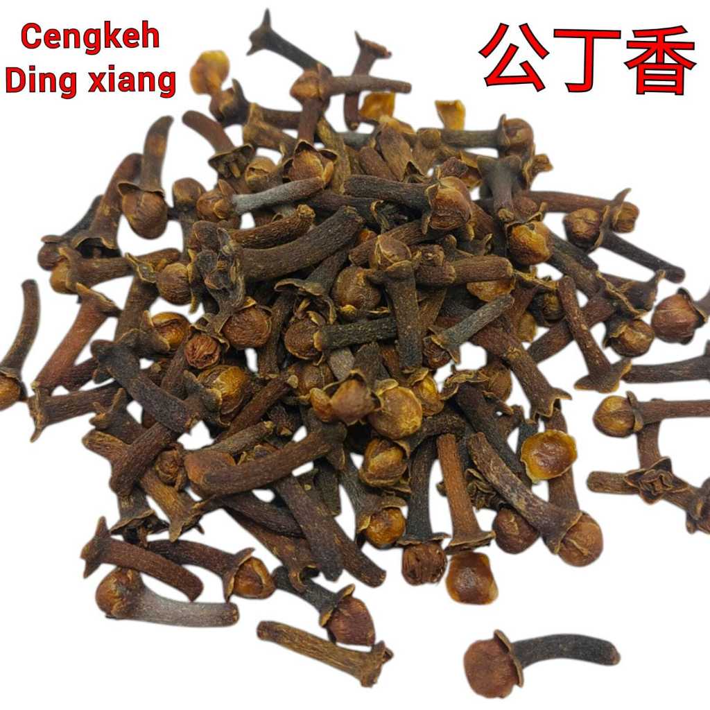 Jual Gong Ding Xiang 公丁香 Cengkeh - Dingxiang - Flos Caryophylli ...