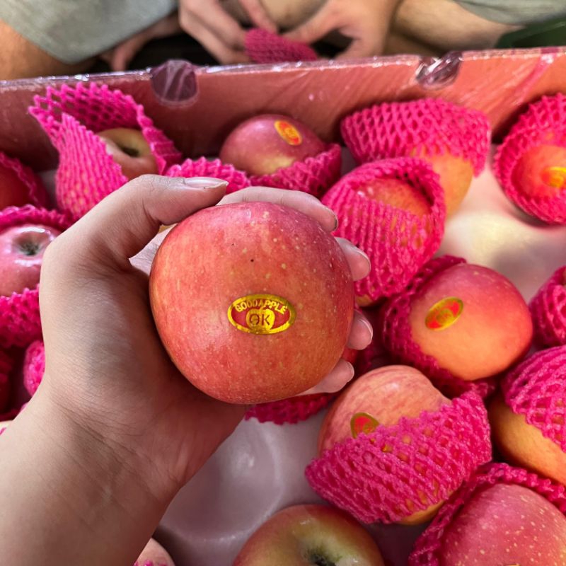 Jual Apel Fuji 125 Premium 1 kg | Shopee Indonesia