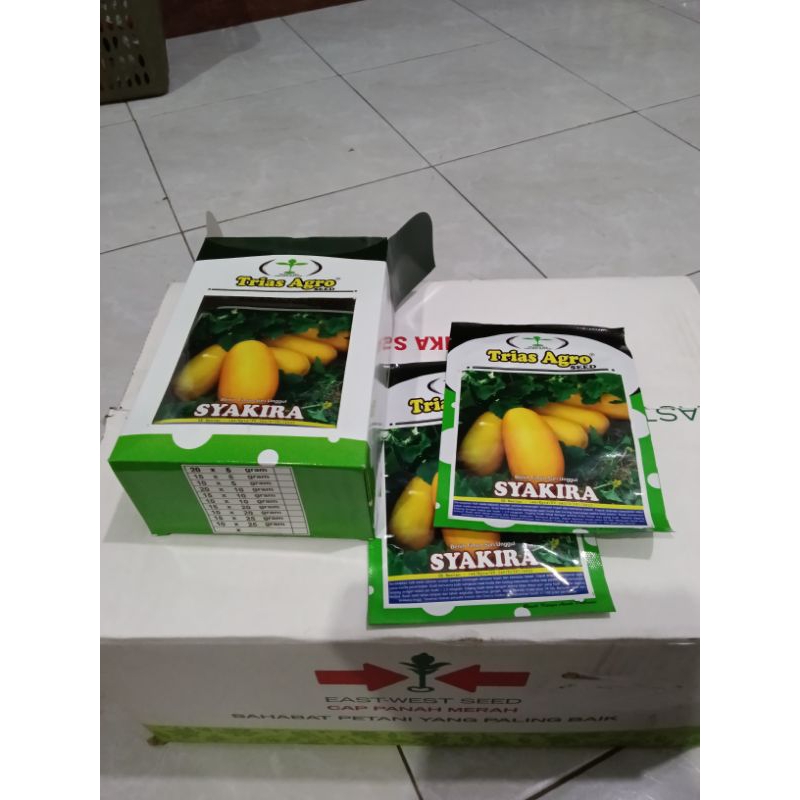 Jual Benih Buah Timun Suri Bangkok Jumbo Syakira F1 (Perawatan Mudah) Isi 10 gram biasanya (600 ...