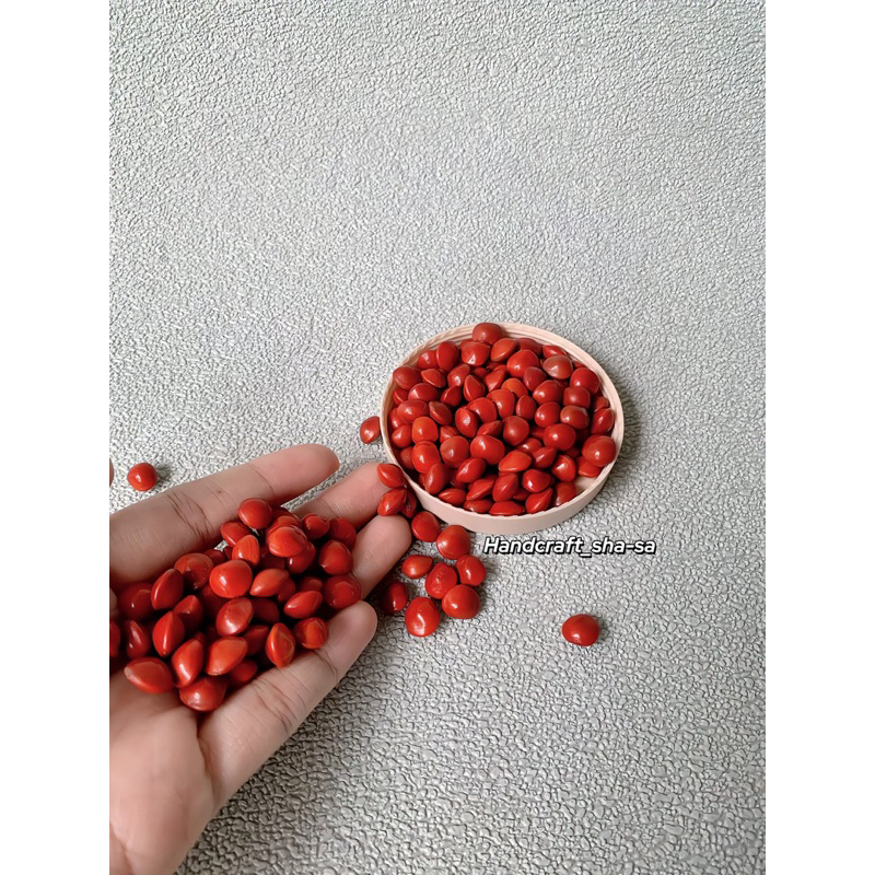 Jual Biji Saga Merah Bahan Kerajinan/Obat Herbal Isi 50 Gram | Shopee ...