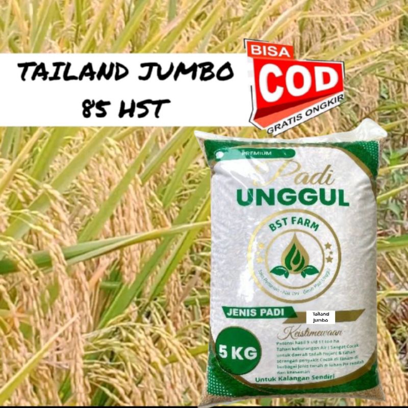 Jual Benih padi Unggul TAILAND JUMBO kemasan 5kg | Shopee Indonesia