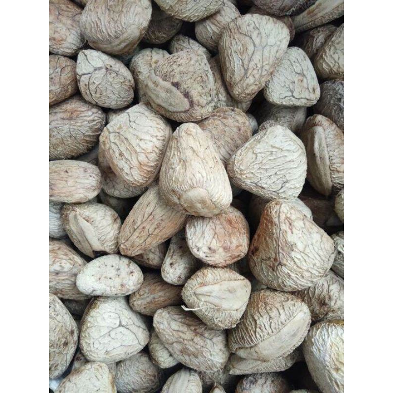 Jual KLUWEK / PICUNG MENTAH 1KG MASIH ADA BATOKNYAH | Shopee Indonesia