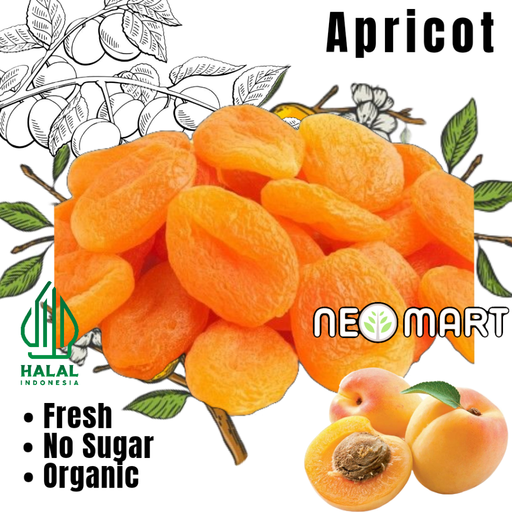 Jual Dried Apricot 100gr/ Apricot | Buah Apricots Kering | Shopee Indonesia