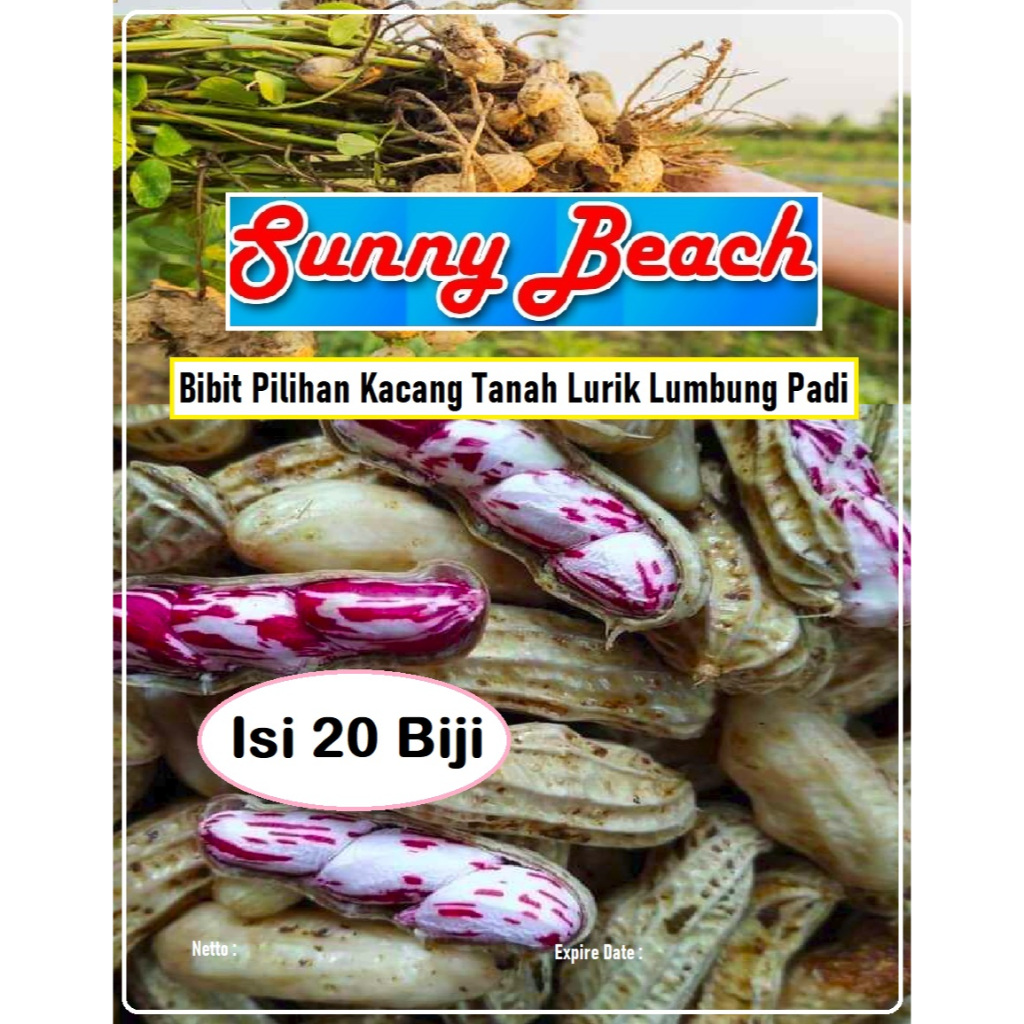 Jual Bibit Pilihan Kacang Tanah Lurik Lumbung Padi | Biji Benih Kacang ...