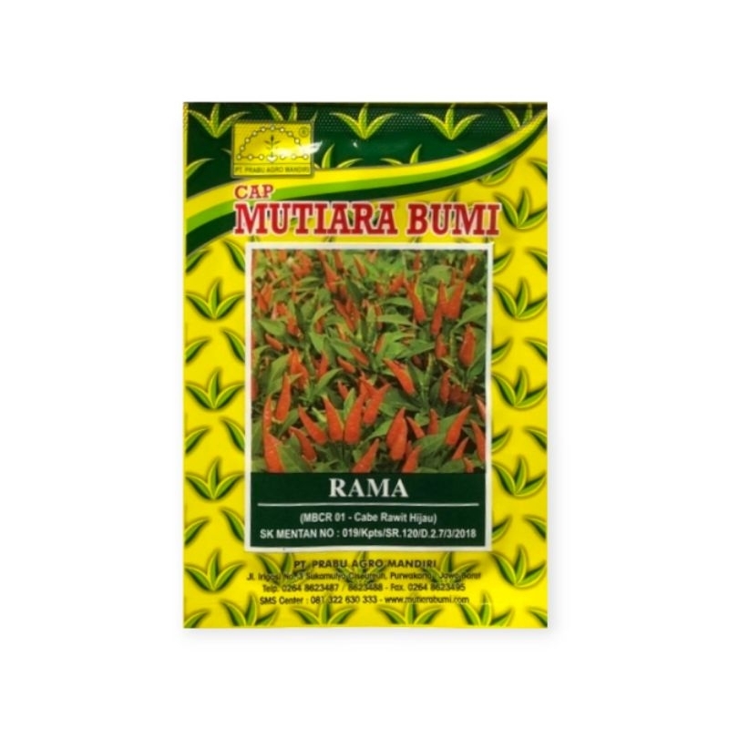 Jual Benih Cabe Rawit hijau RAMA OP isi kemasan 10gram (1500-1900 butir ...
