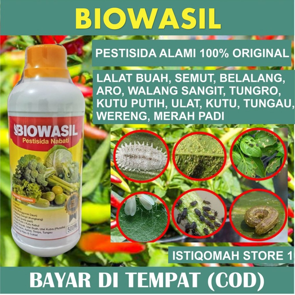 Jual Pestisida Organik BIOWASIL Obat Hama Tanaman Lalat, Wereng, Kutu ...