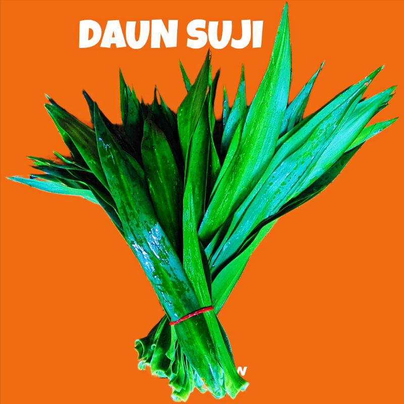 Jual Daun Suji / 1 ikat 30 Lembar Daun Pewarna Makanan Alami Organik ...