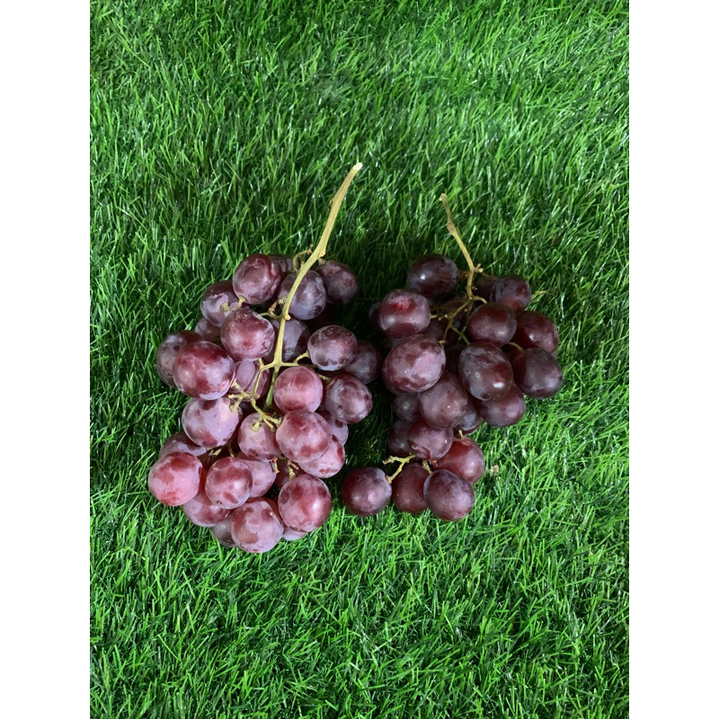Jual Anggur Red Globe 1 kg | Shopee Indonesia