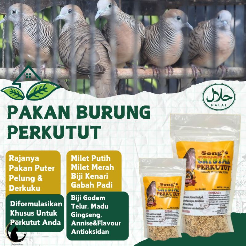 Jual PAKAN BURUNG PERKUTUT MAKANAN PUTER PELUNG DERKUKU LOMBA ATAU ...