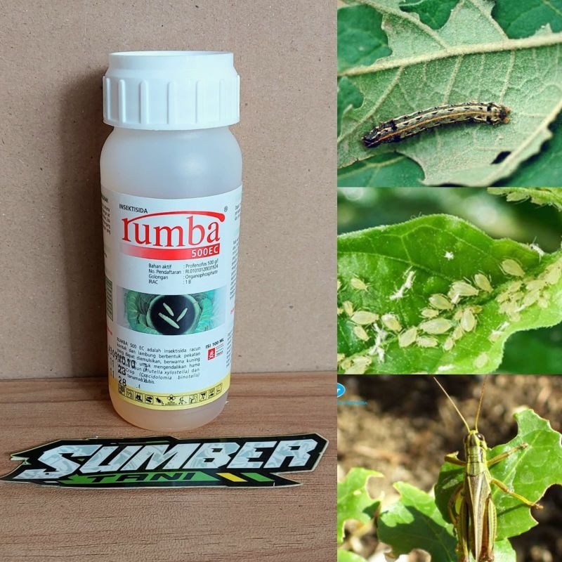 Jual Insektisida RUMBA 500EC 100ml 500ml Profenofos Hama Ulat Kutu not ...