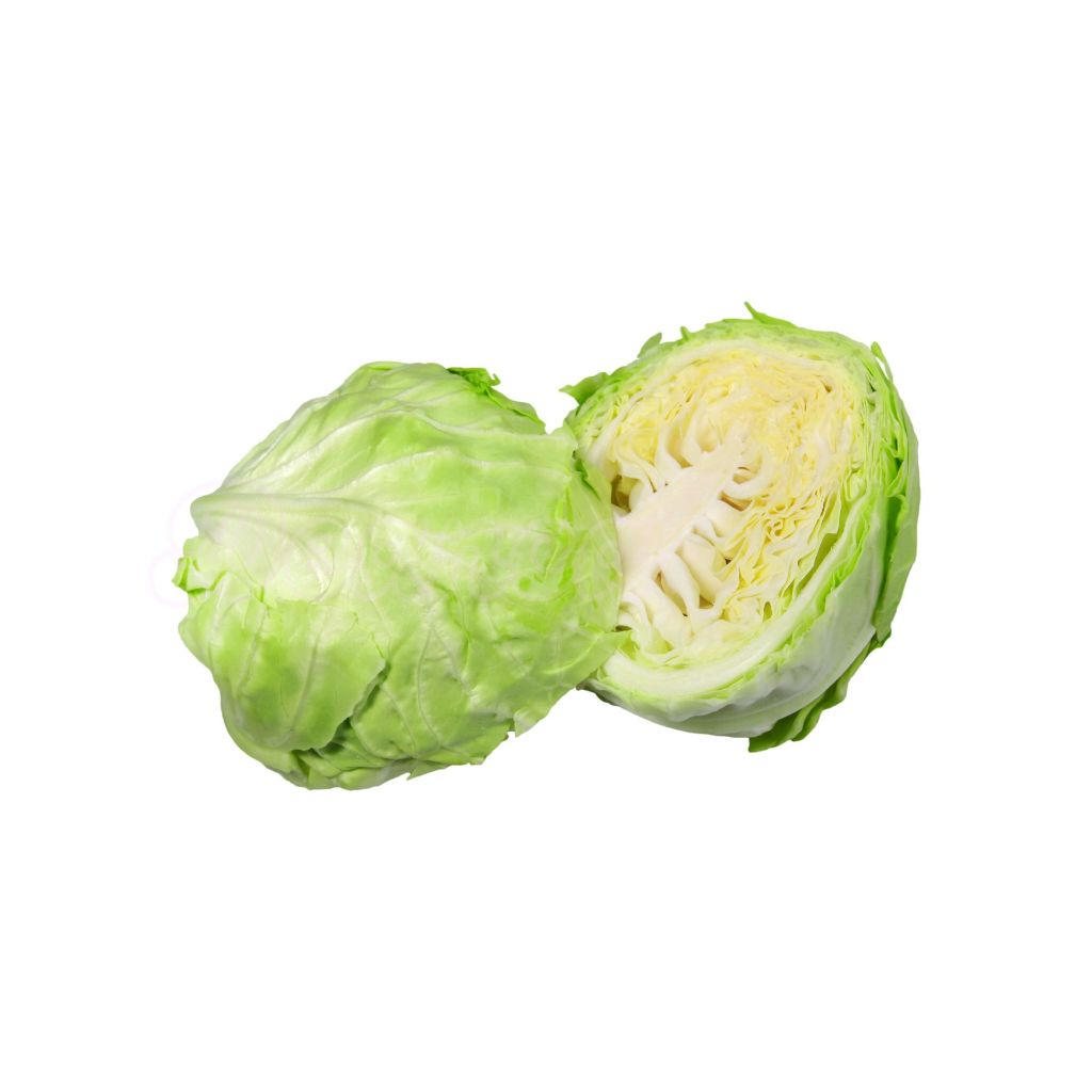 Jual Kol Segar | Kubis Segar | Fresh Cabbage | Shopee Indonesia