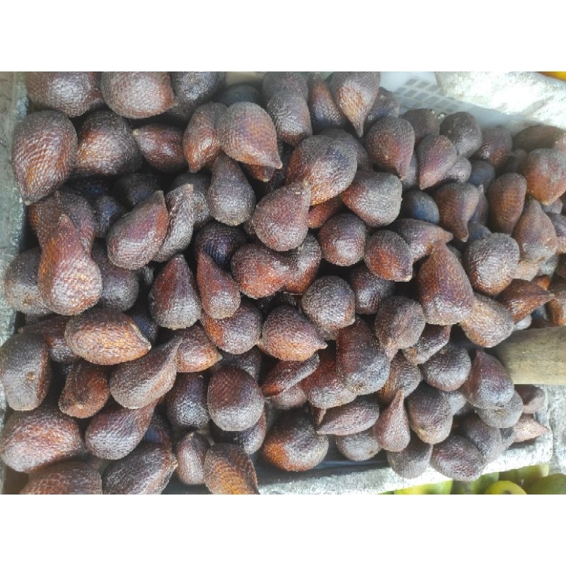 Jual Buah Salak per [200gr] | Shopee Indonesia