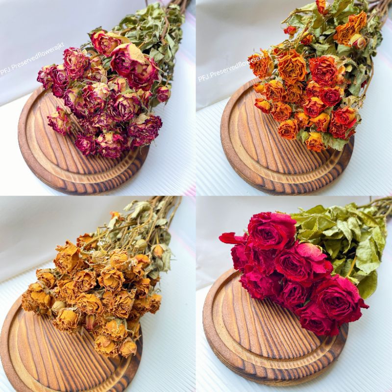Jual Bunga Dried Rose Spray / Mawar Kering dengan tangkai AWET TAHUNAN ...