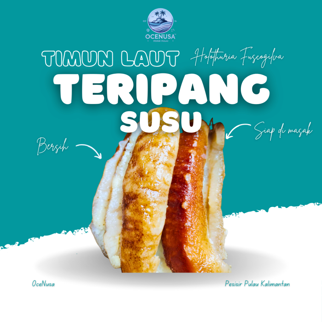 Jual Teripang Susu 500gr/1kg | Shopee Indonesia