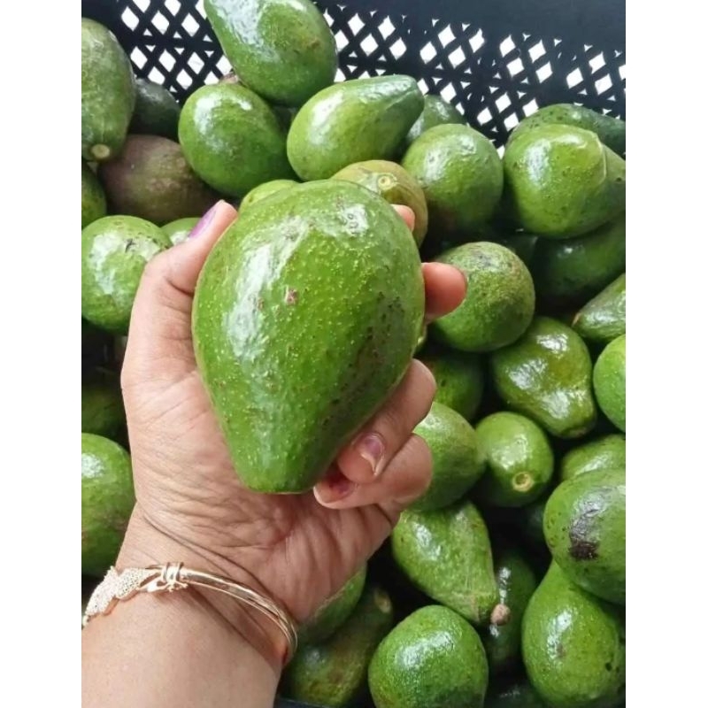 Jual Alpukat matang 1 kg isi 4-5 buah | Shopee Indonesia
