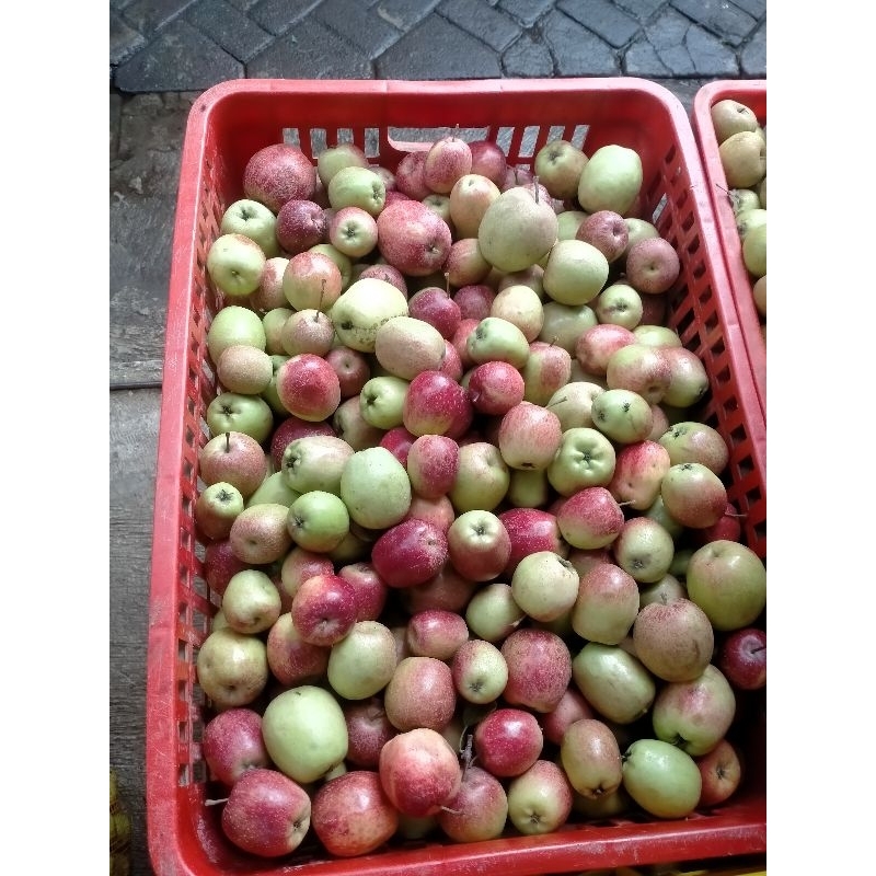 Jual Apel Ana mini asli dari Batu 1 kg | Shopee Indonesia