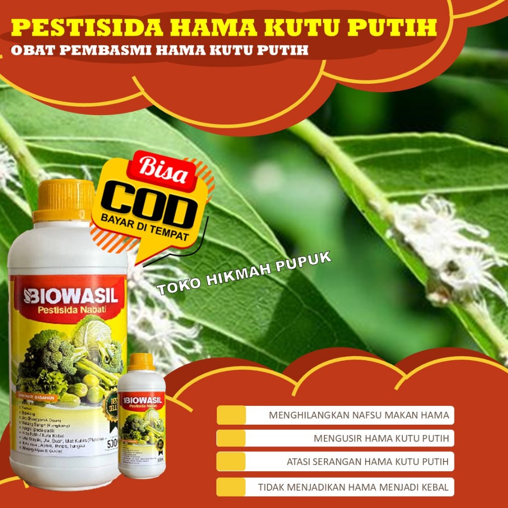 Jual Pupuk Hama Kutu Putih Pada Tanaman Paling Bagus BIOWASIL Pestisida ...