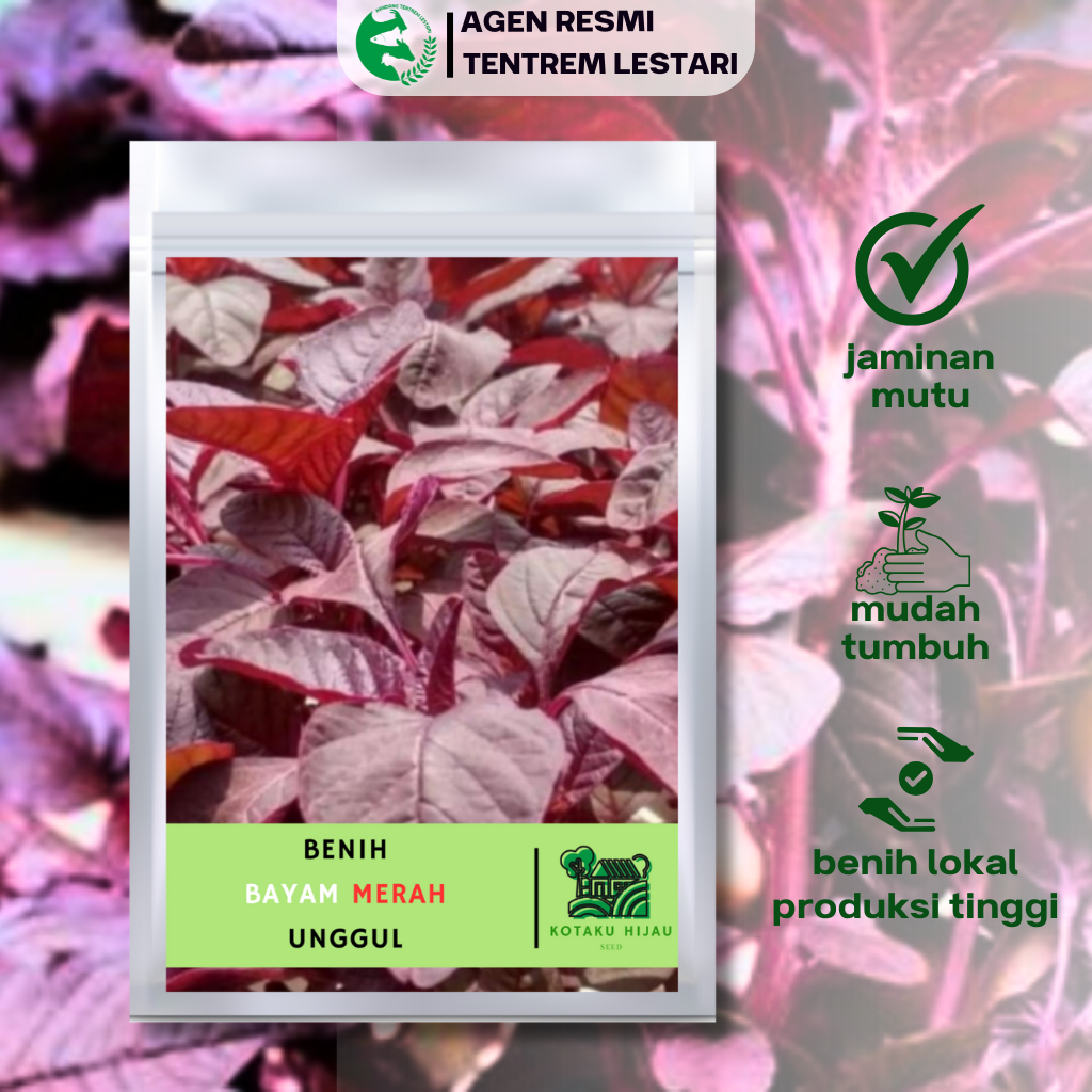 Jual Benih Bayam Merah 15 gr Kotaku Hijau Unggul Nutrisi Tinggi Ribuan ...