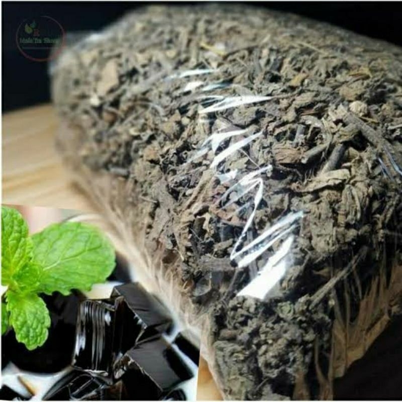 Jual Daun Cincau Hitam Kering | Daun Janggelan | Black Gress Jelly ...