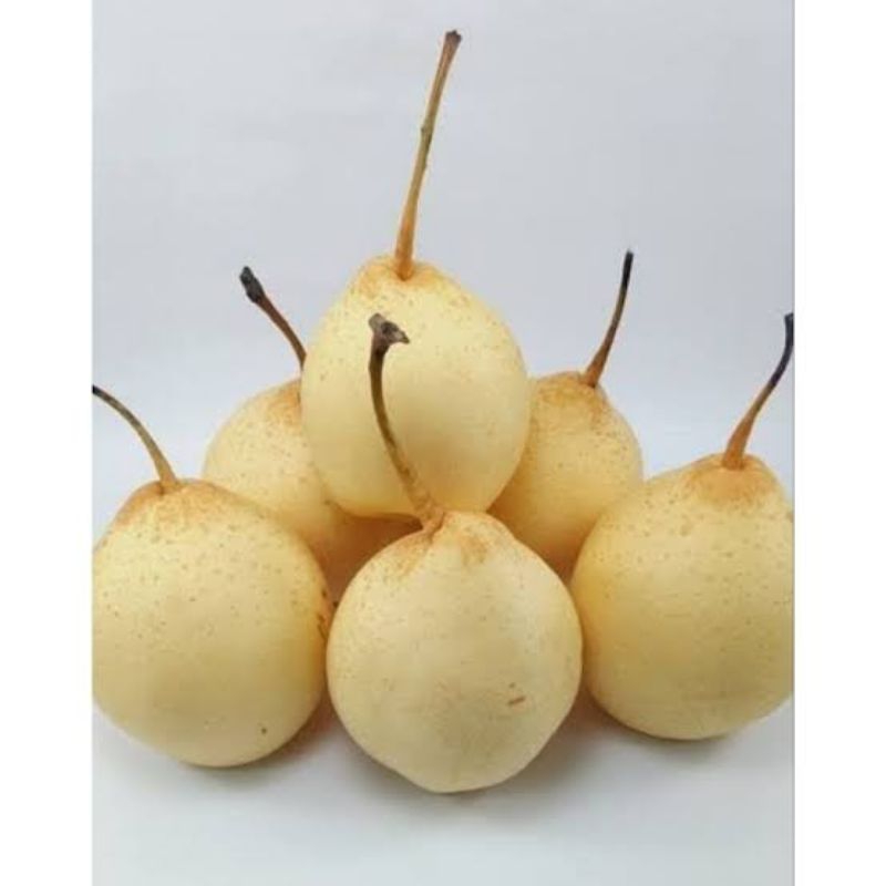 Jual Pear Yalie 500gr | Shopee Indonesia