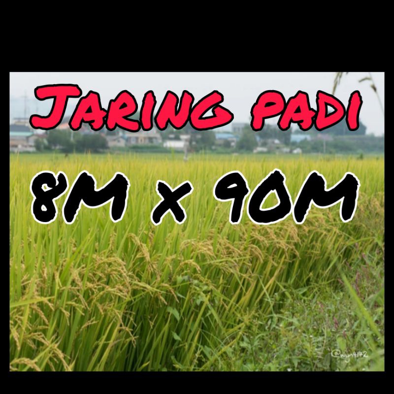 Jual Jaring burung 0.12 / jaring padi / jaring pelindung sawah | Shopee ...