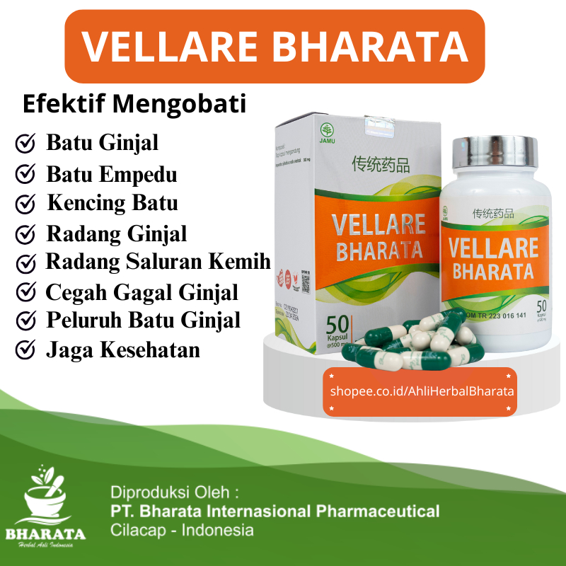 Jual Obat Batu Ginjal Original|Obat Batu Empedu dan Ginjal Terbaik Original | Vellare Bharata ...