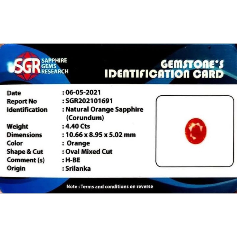 Jual ORANGE SHAPIRE PAPARACHA MEMO | Shopee Indonesia