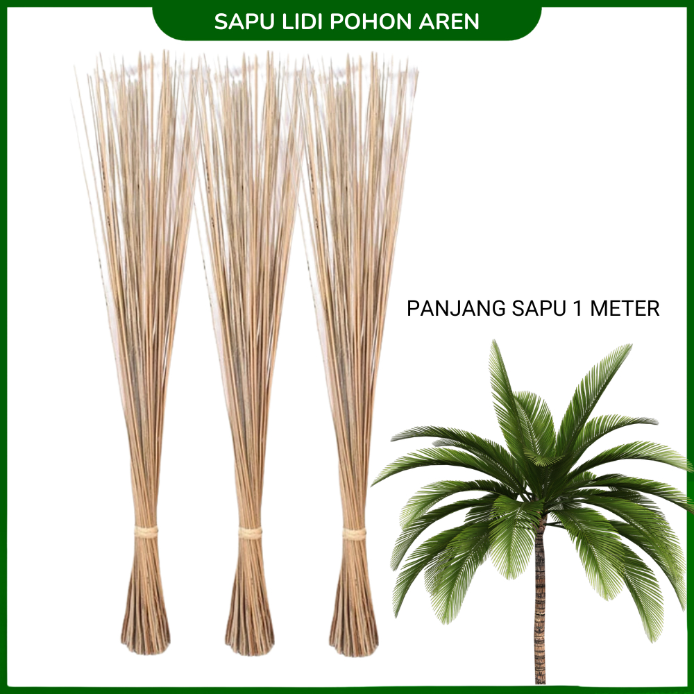 Jual Sapu Lidi Kasur Karpet Asli Pohon Aren Panjang 1 Meter Serbaguna ...