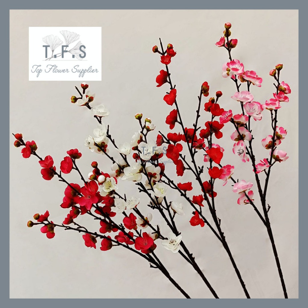 Jual Bunga Imlek Jumbo Wintersweet Premium Imlek Chinese New Year ...