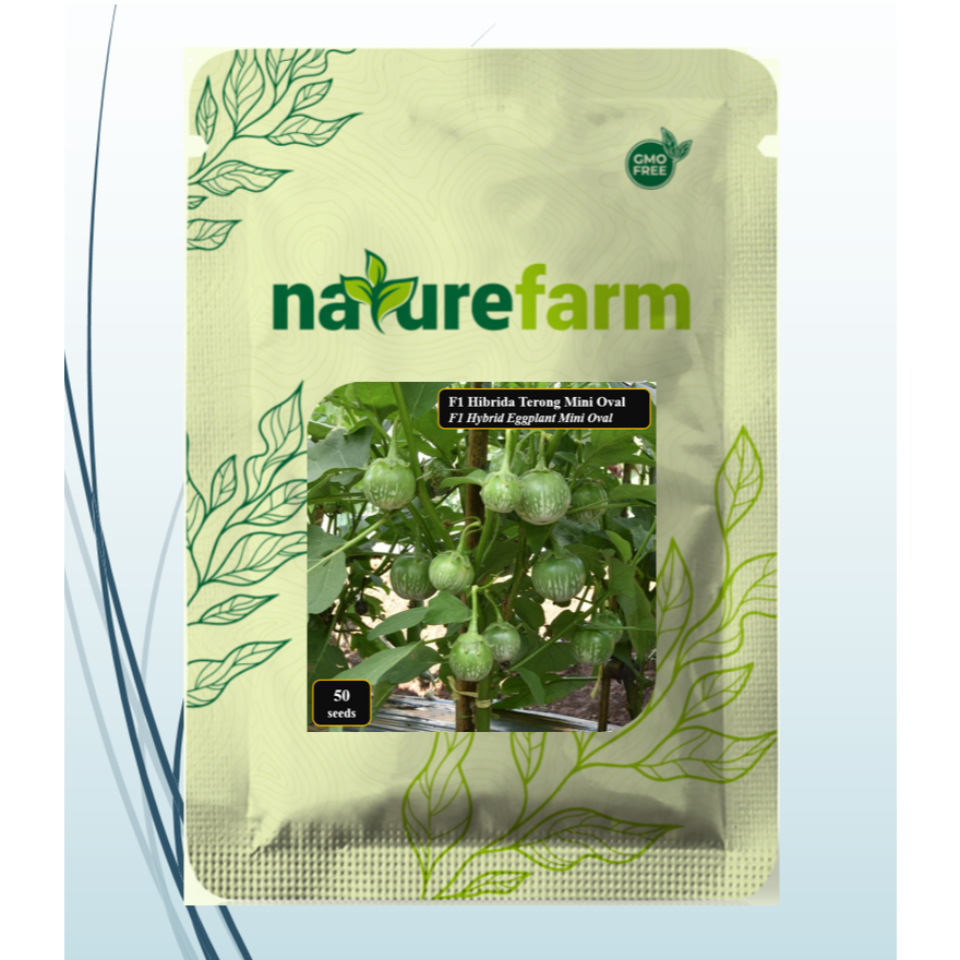 Jual Naturefarm - Terong Hijau Mini F1 Hibrida - isi 50 seeds | Shopee ...