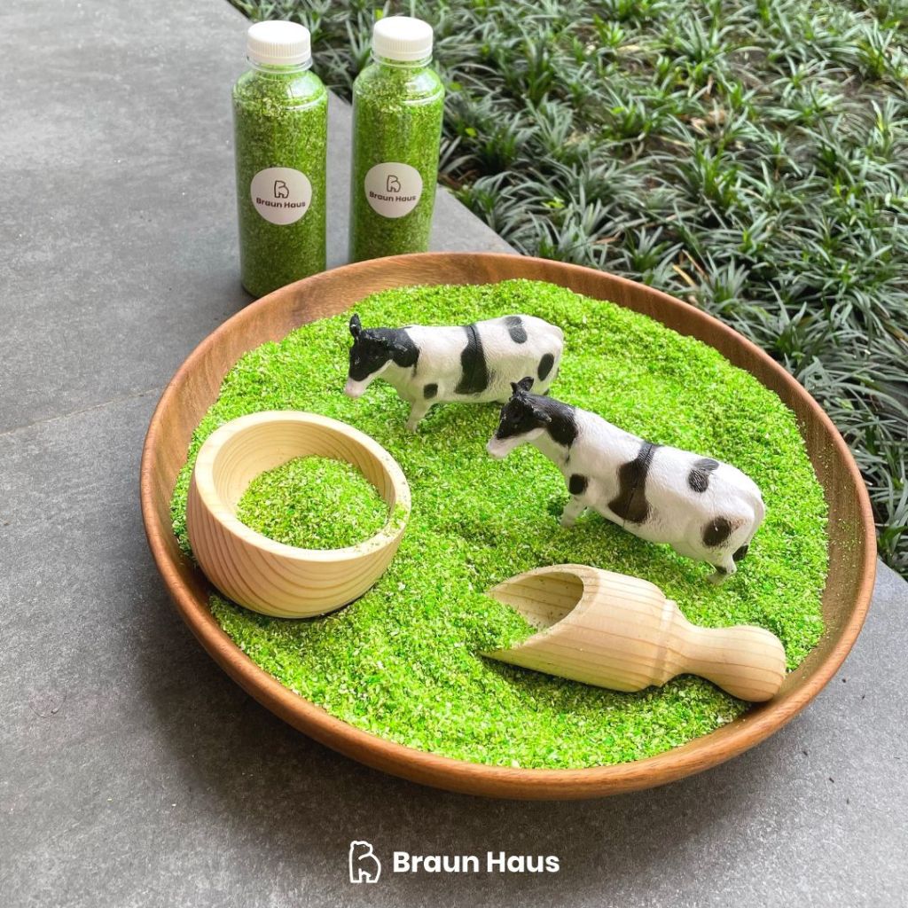 Jual BraunHaus Kelapa Warna Rumput Mainan - Mainan Montessori ...