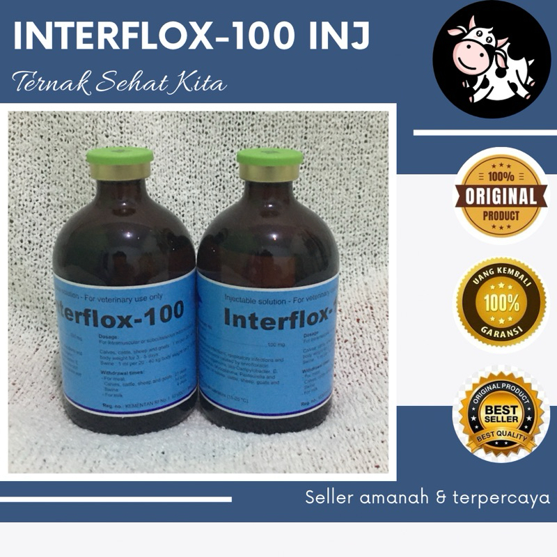 Jual Interflox-100 antibiotik PMK untuk obat sapi PMK | Shopee Indonesia