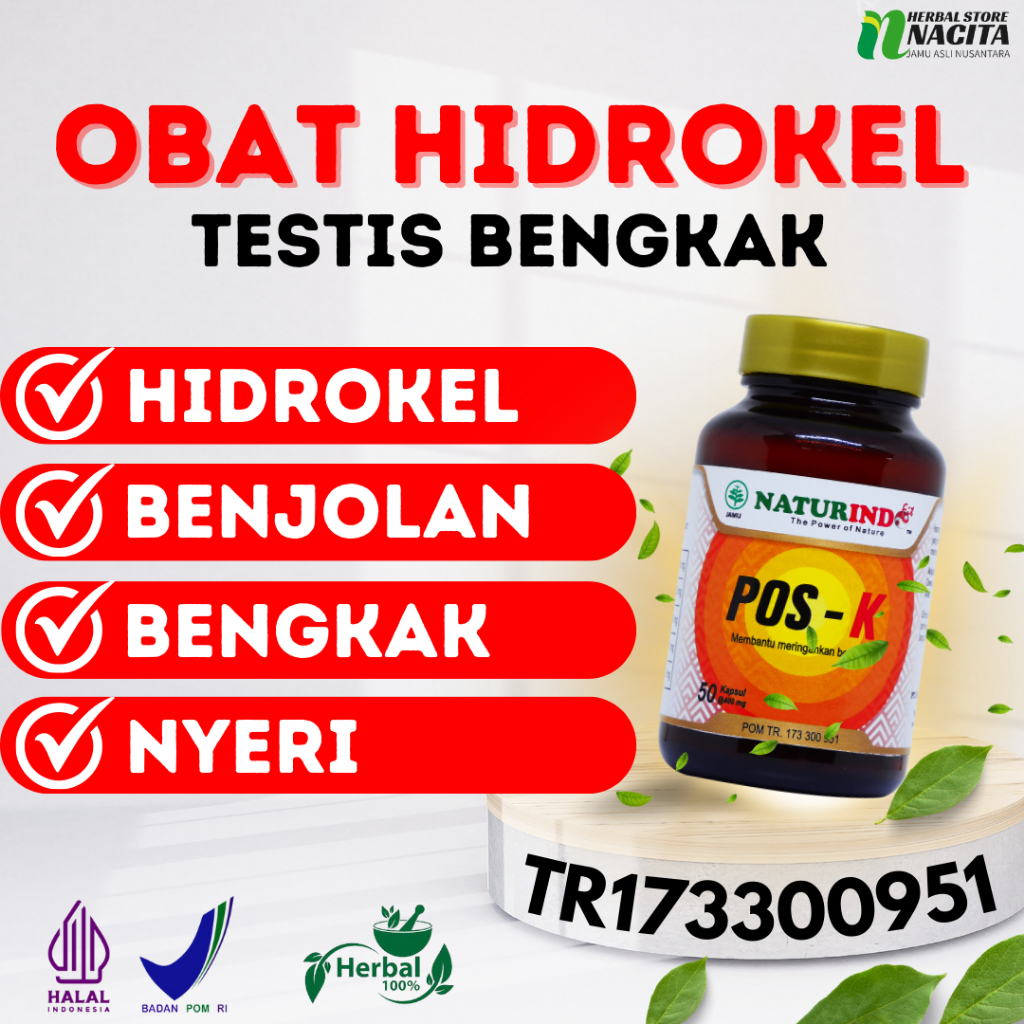 Jual Obat Hidrokel Varikokel Testis Bengkak Sebelah Benjolan Buah Zakar ...