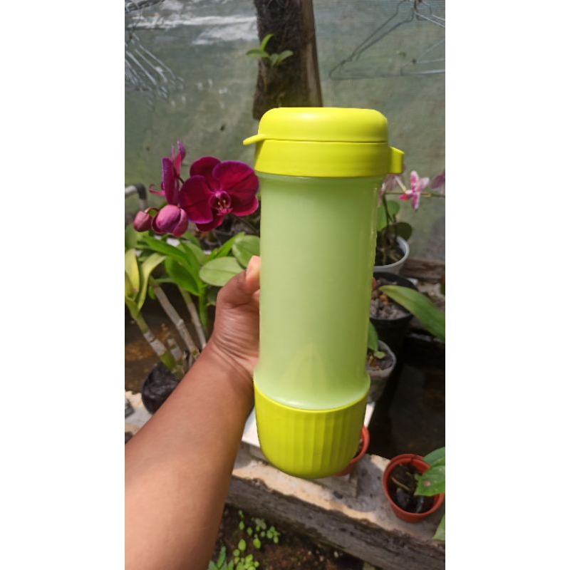 Jual Tupperware Preloved Infused to Go | Shopee Indonesia