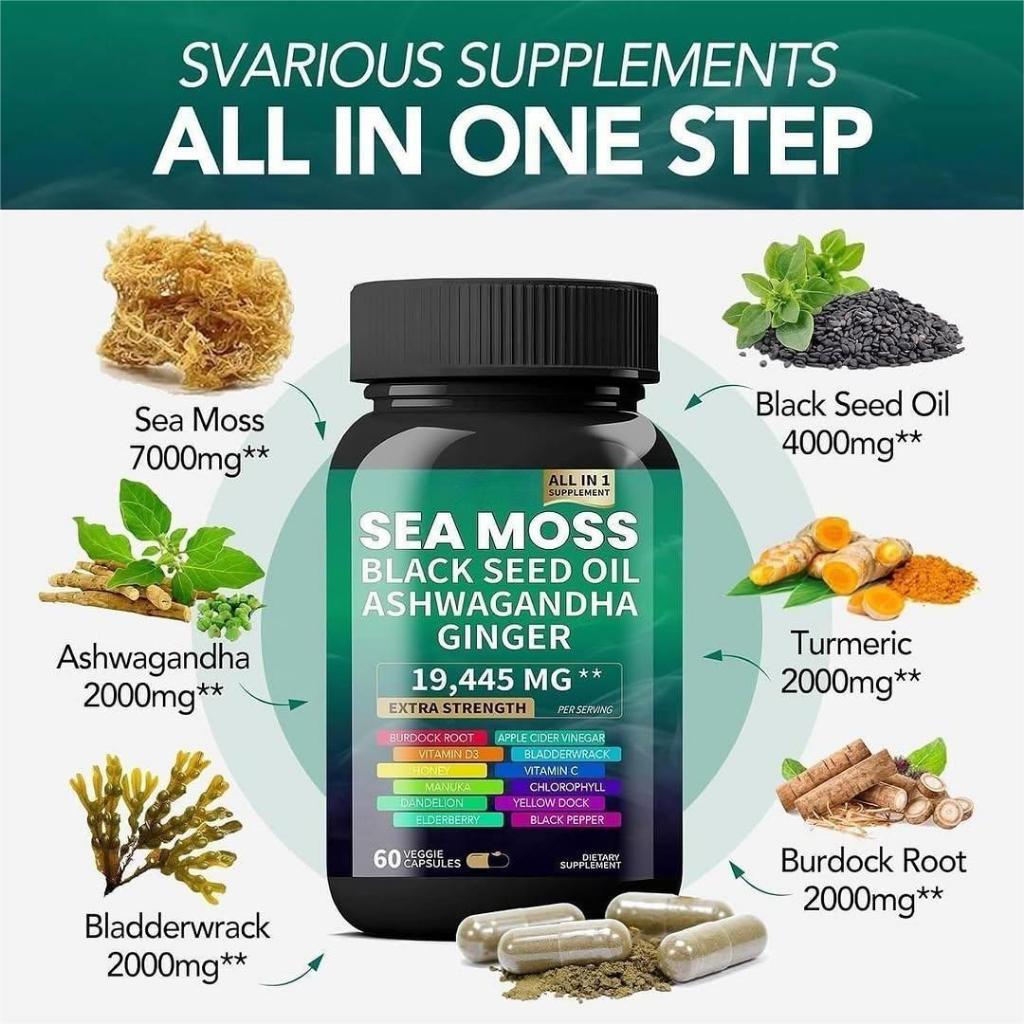 Jual Zoyava Organic Sea Moss Black Seed Oil Ashwagandha & Ginger 16-in ...