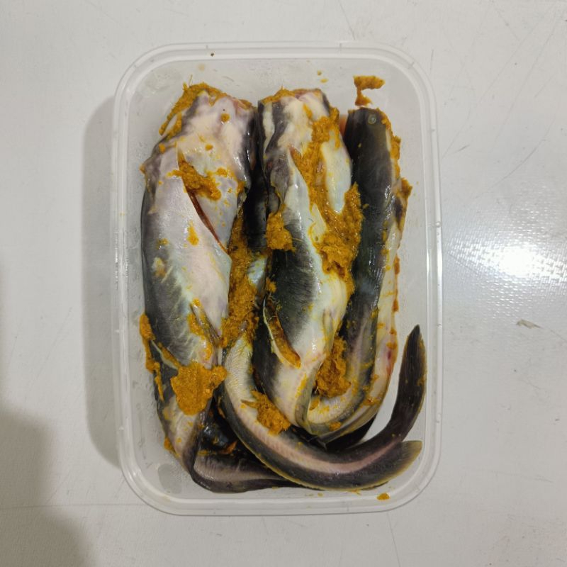 Jual Lele Bumbu Kuning Frozen 500gr | Shopee Indonesia