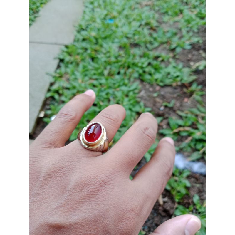 Jual Red Baron natural | Shopee Indonesia