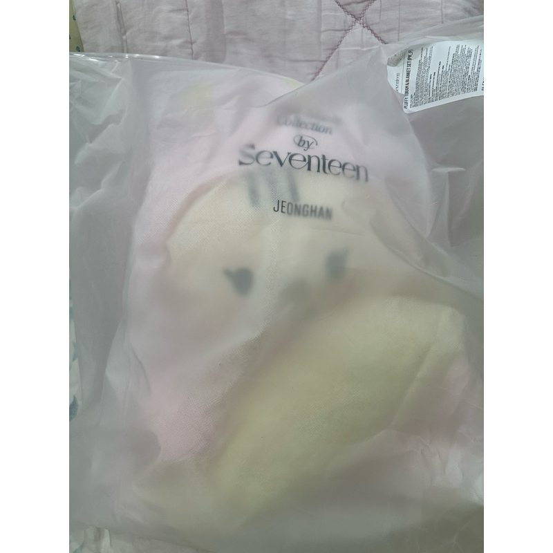 Jual BOOKED Jjong Toram Artist Made Collection Jeonghan | Shopee Indonesia