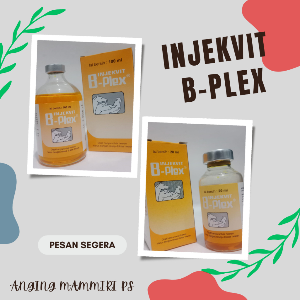 Jual INJEKVIT B-PLEX - 20 ML @ 12 PCS (OBAT untuk Kekurangan vitamin B kompleks pada hewan ...