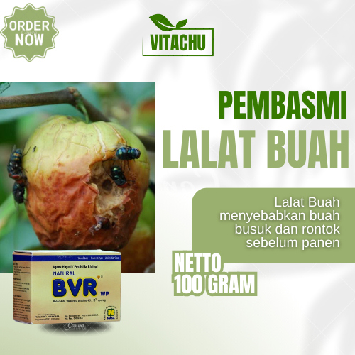 Jual Pembasmi Lalat Buah Racun Lalat Paling Ampuh Obat Pengusir Lalat ...