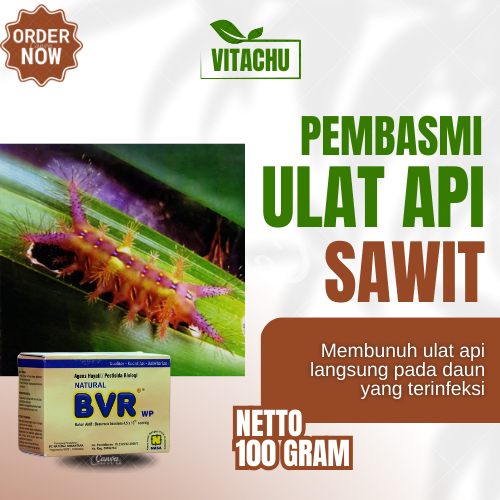 Jual Pestisida Obat Hama Tanaman Sawit Pembasmi Hama Sawit Insektisida ...