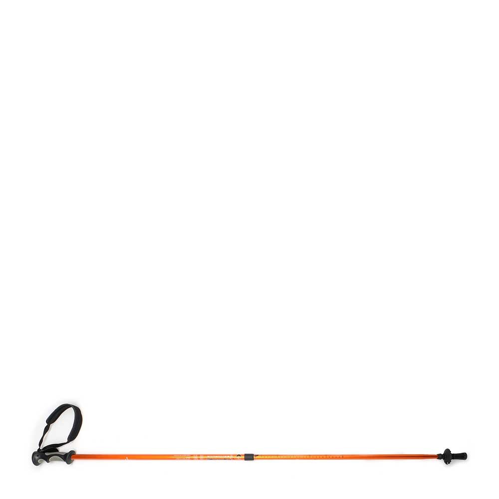 Jual EIGER TREKKING POLE 2 SECTION | Shopee Indonesia