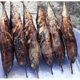 Jual IKAN TONGKOL ASAP SUPER 250-260 gr | Shopee Indonesia