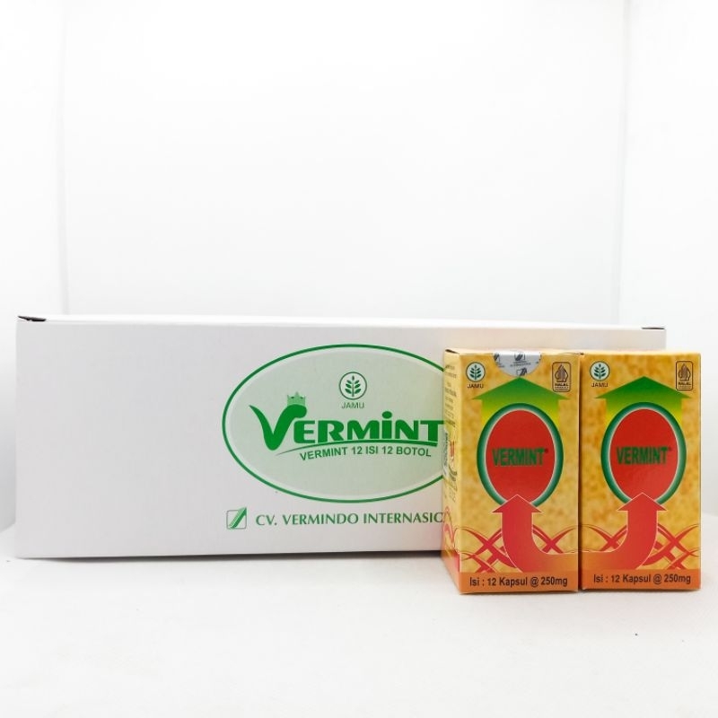 Jual Vermint Obat Typus Tipes Tipus 12 Kapsul 1 Box / per box isi 12 ...