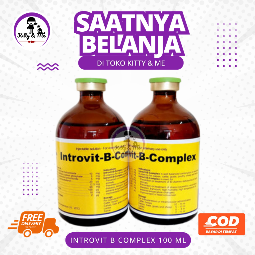 Jual INTROVIT B COMPLEX 100 ML - Multivitamin B Complex Interchemie ...