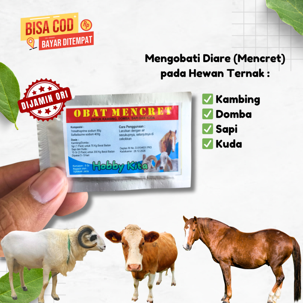 Jual Obat Mencret Kambing, Domba, Sapi dan Kuda - Obati Diare Pada ...