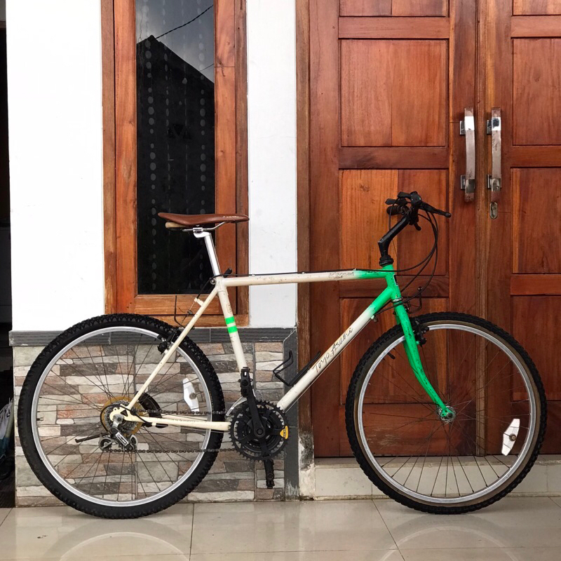 Jual Sepeda Commuter bike Toyoasahi Dolphin size20 | Shopee Indonesia