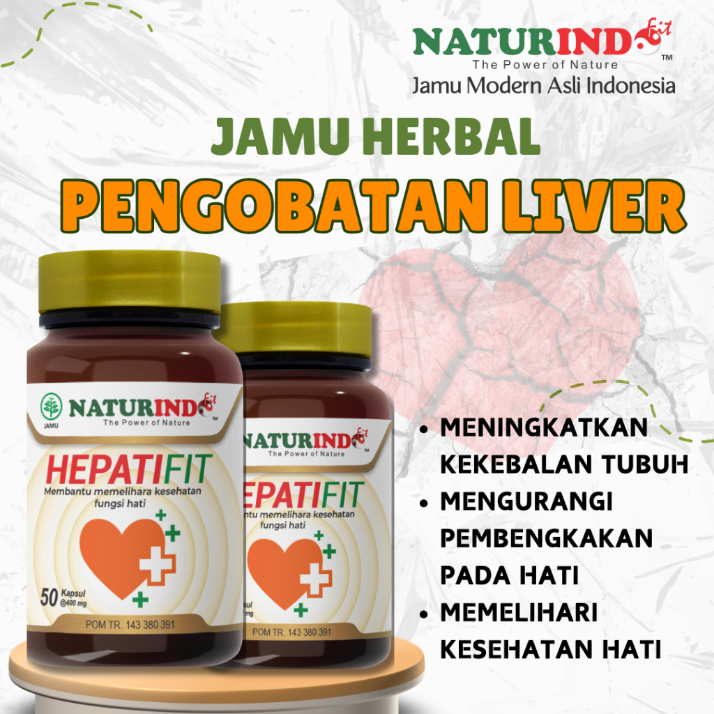 Jual Obat Liver hepatitis A B C D Fatty Liver Bengka Sirosis Pemabuk ...